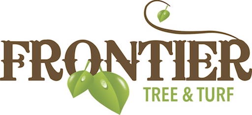 institutekoti - Blog