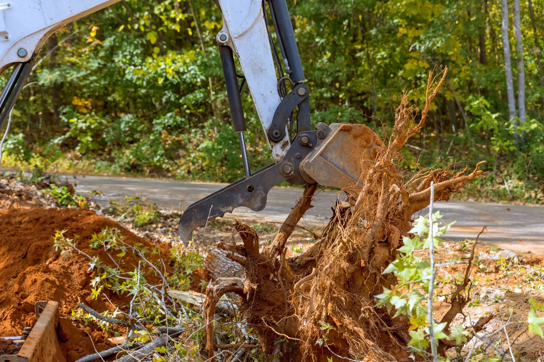 Soil Management & Root Excavation Services in Monmouth County ...